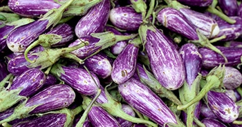 Seasonal Food Guide